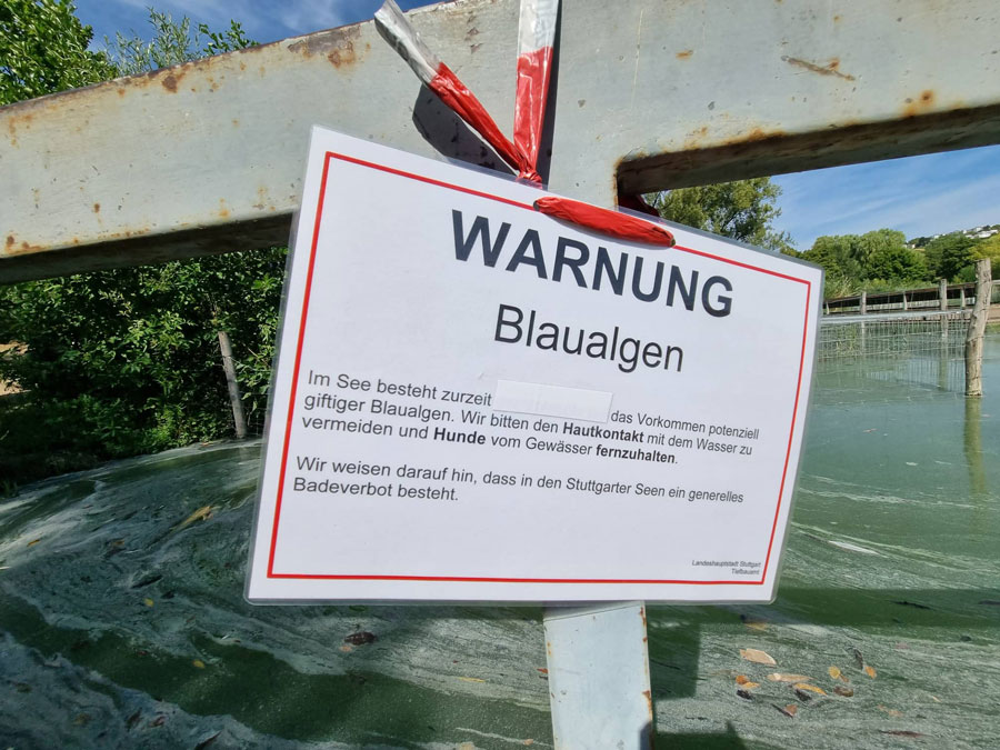 Gablenberger-Klaus-Blog » Blog Archive » Dringende Warnung vor ... Gablenberger-Klaus-Blog » Blog Archive » Dringende Warnung vor ...